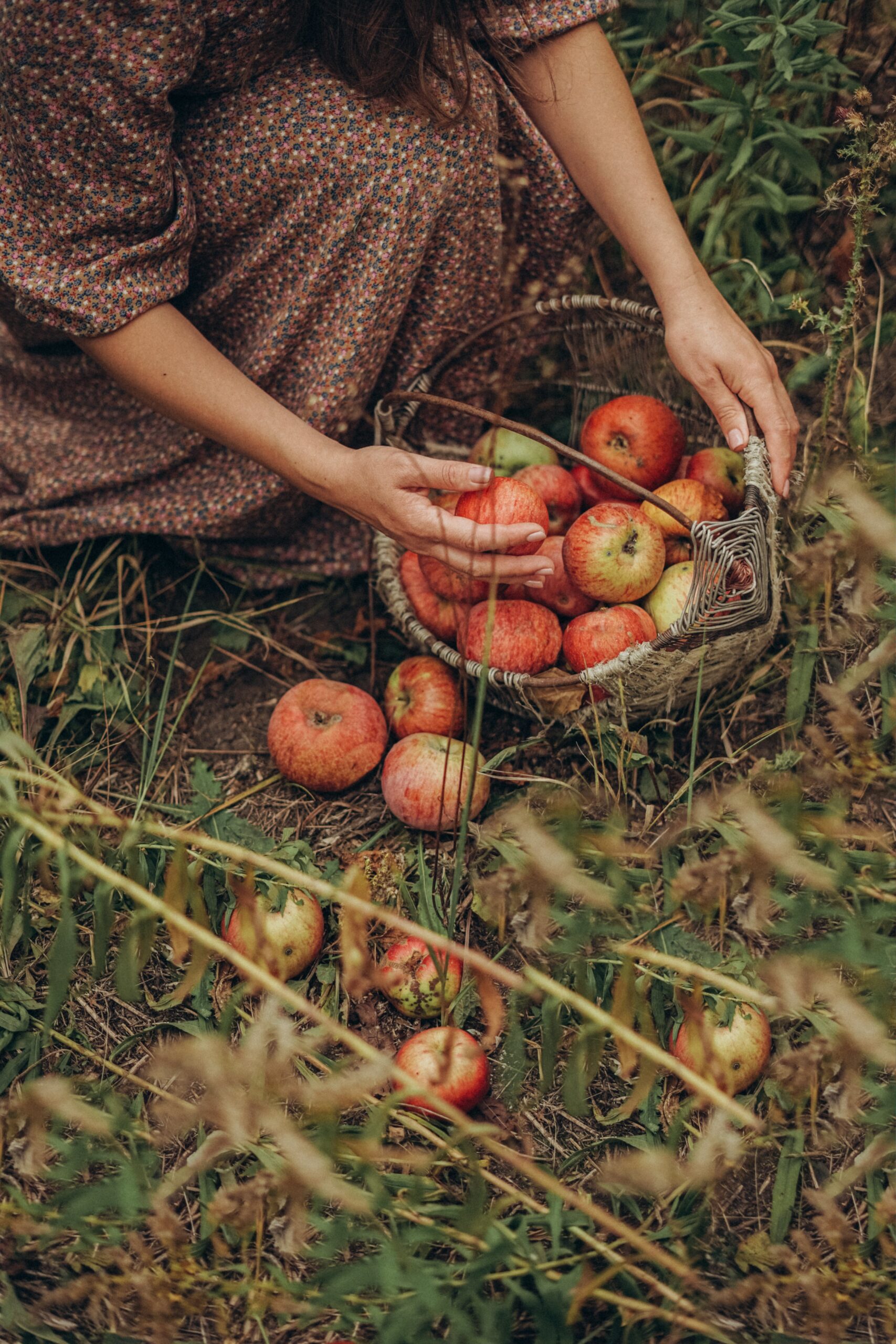 Grow Your Own Vegetables and Herbs - The Oklahoma Homesteader