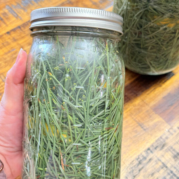 Homemade Pine Cleaner with Real Pine Needles and Lemon - The Oklahoma ...