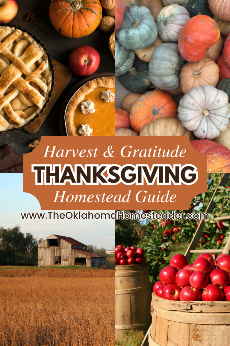 Harvest & Gratitude: Your Thanksgiving Homestead Guide